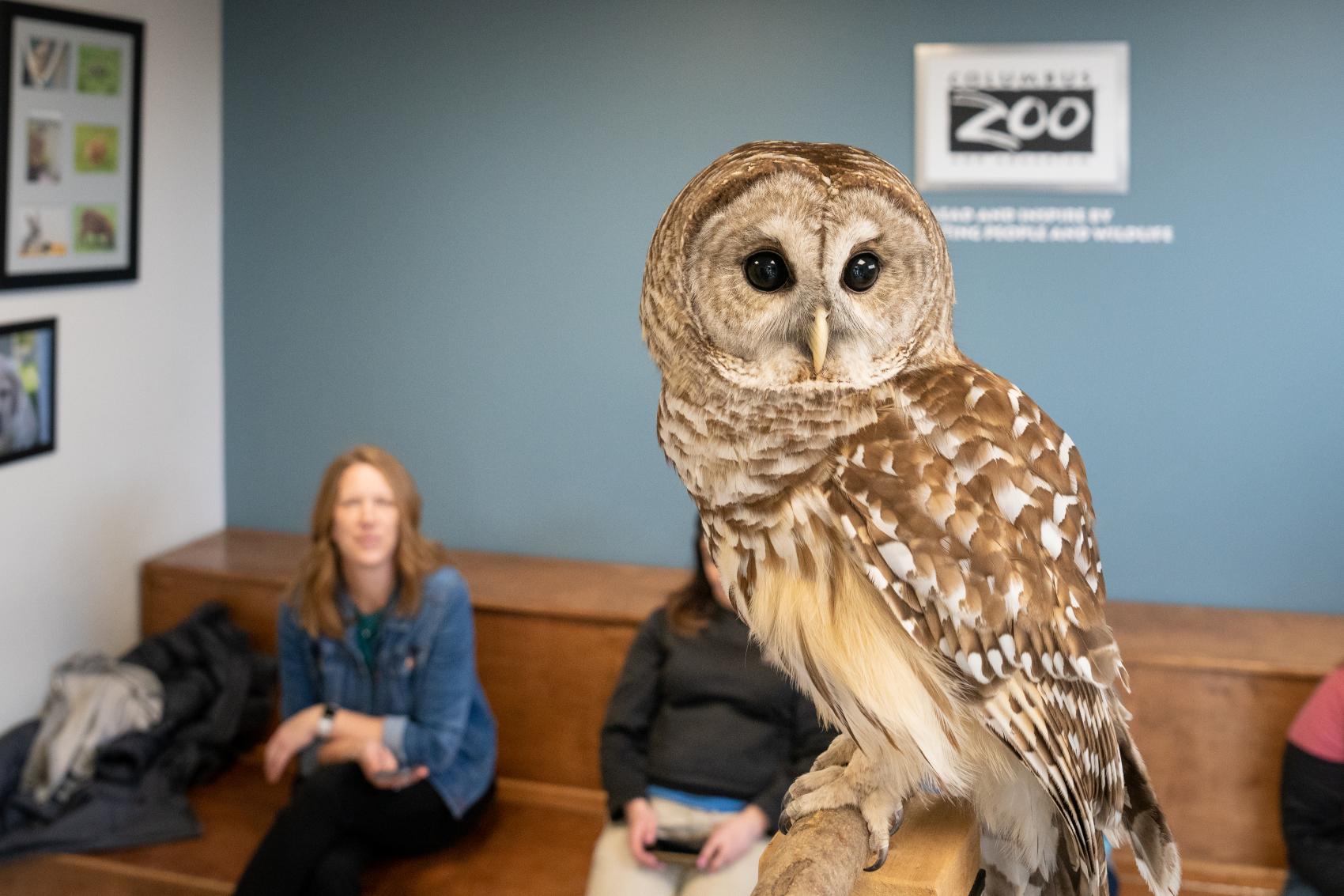 Columbus Zoo | Wild Encounters Experience